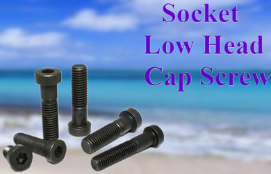 Various Socket Screw