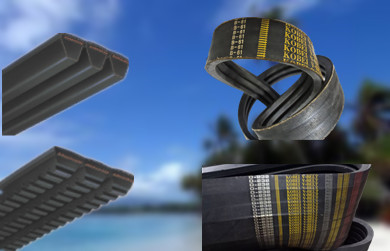 Banded/ Scrum V-Belt